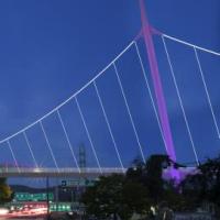 Funding secured for Alabama pedestrian bridge - Bridge Design ...