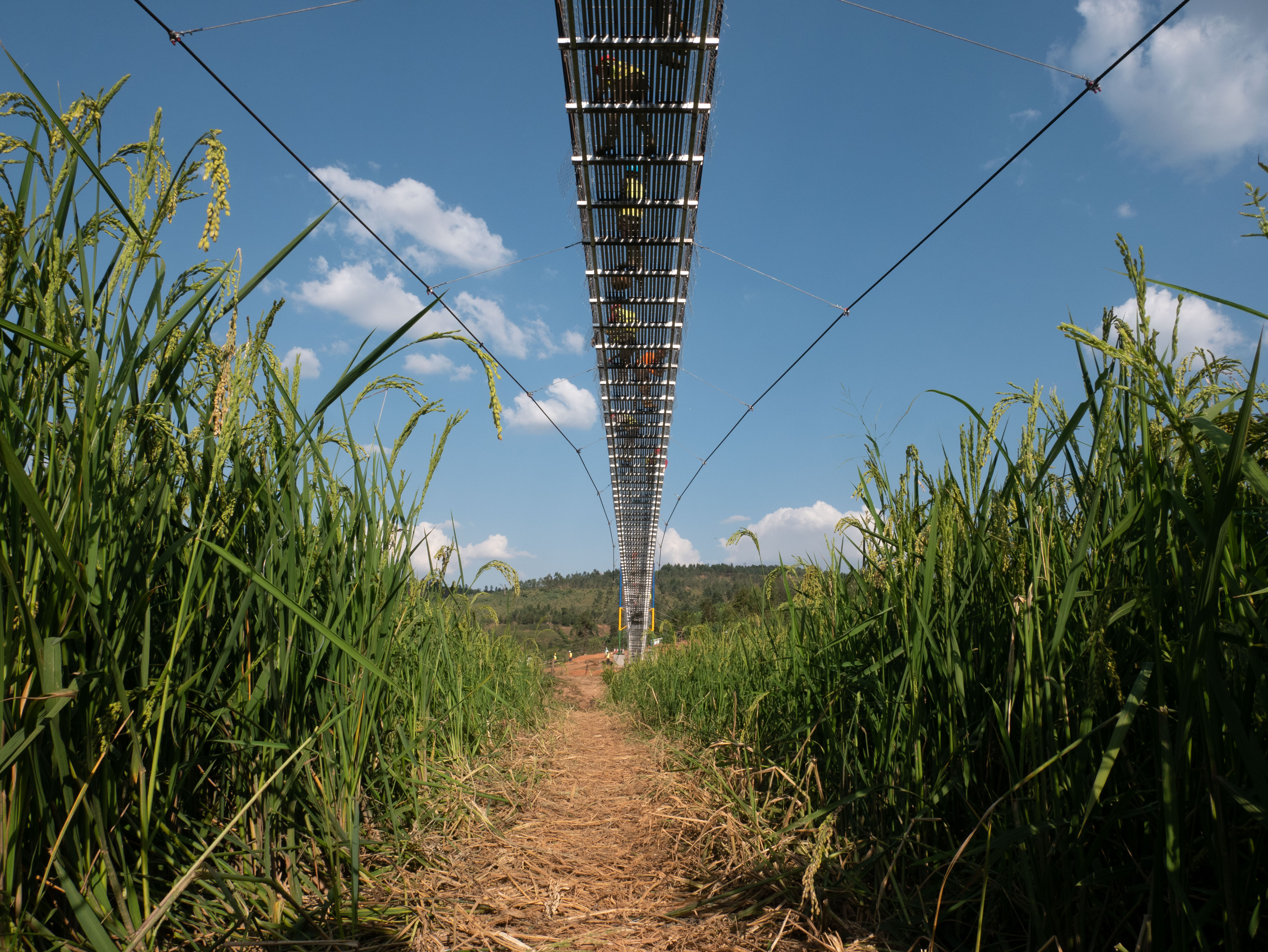Build big or go home - Bridge Design & Engineering (Bd & e)
