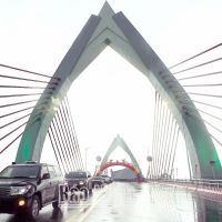 Bridge with lotus towers will join Vietnamese city to new coast road ...